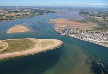 South East Devon Wildlife | South East Devon Wildlife